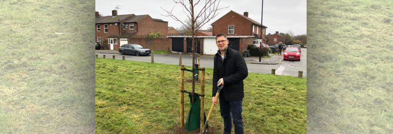 Croydon joins national tree planting week - Newsroom